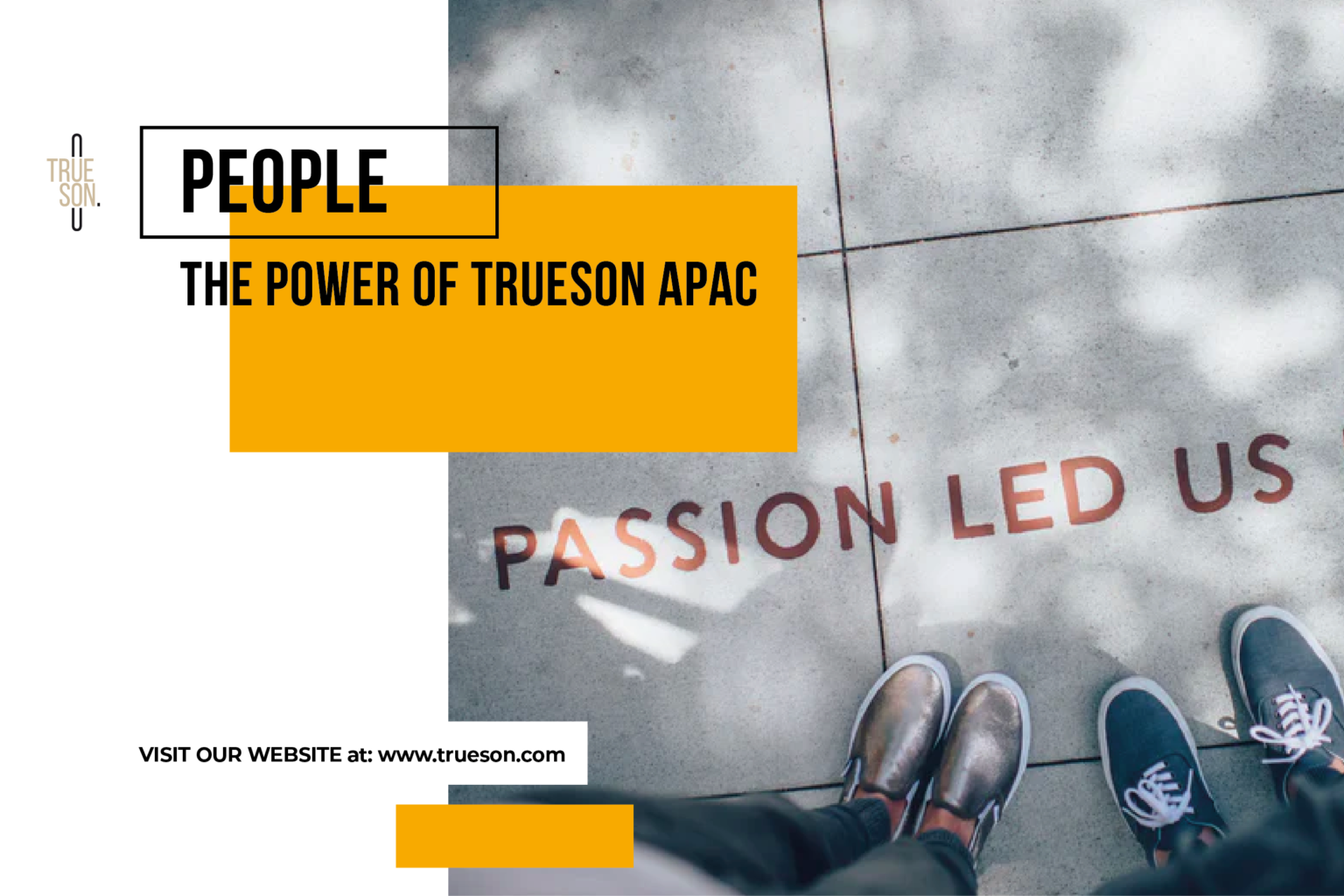 Trueson - CRM & BI SOLUTIONS