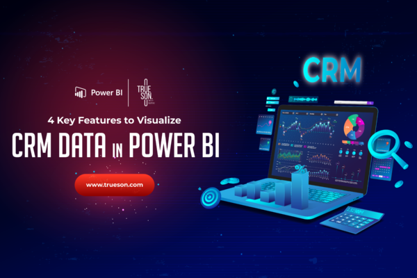 4 Key Features to Visualize CRM Data in Power BI | trueson